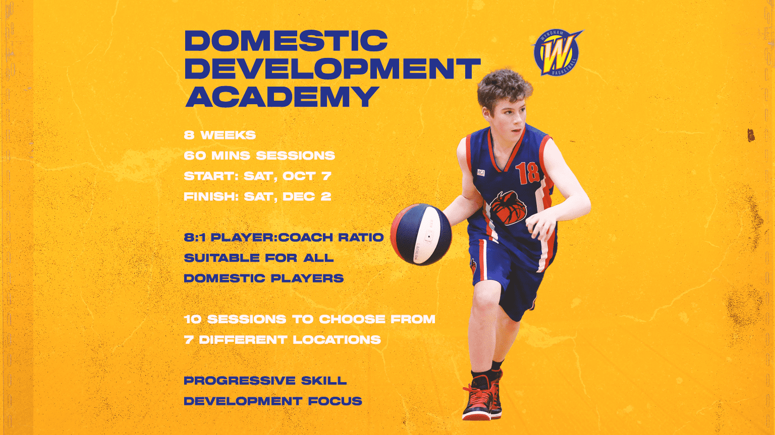 Domestic Development Academy - Wyndham Basketball